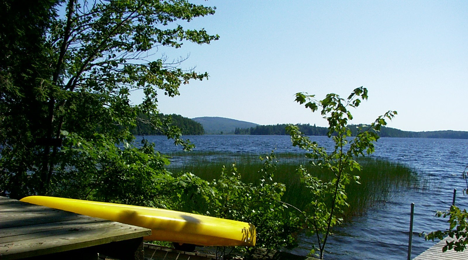 Jamie Goodwin – jamiegoodwinauthor.com